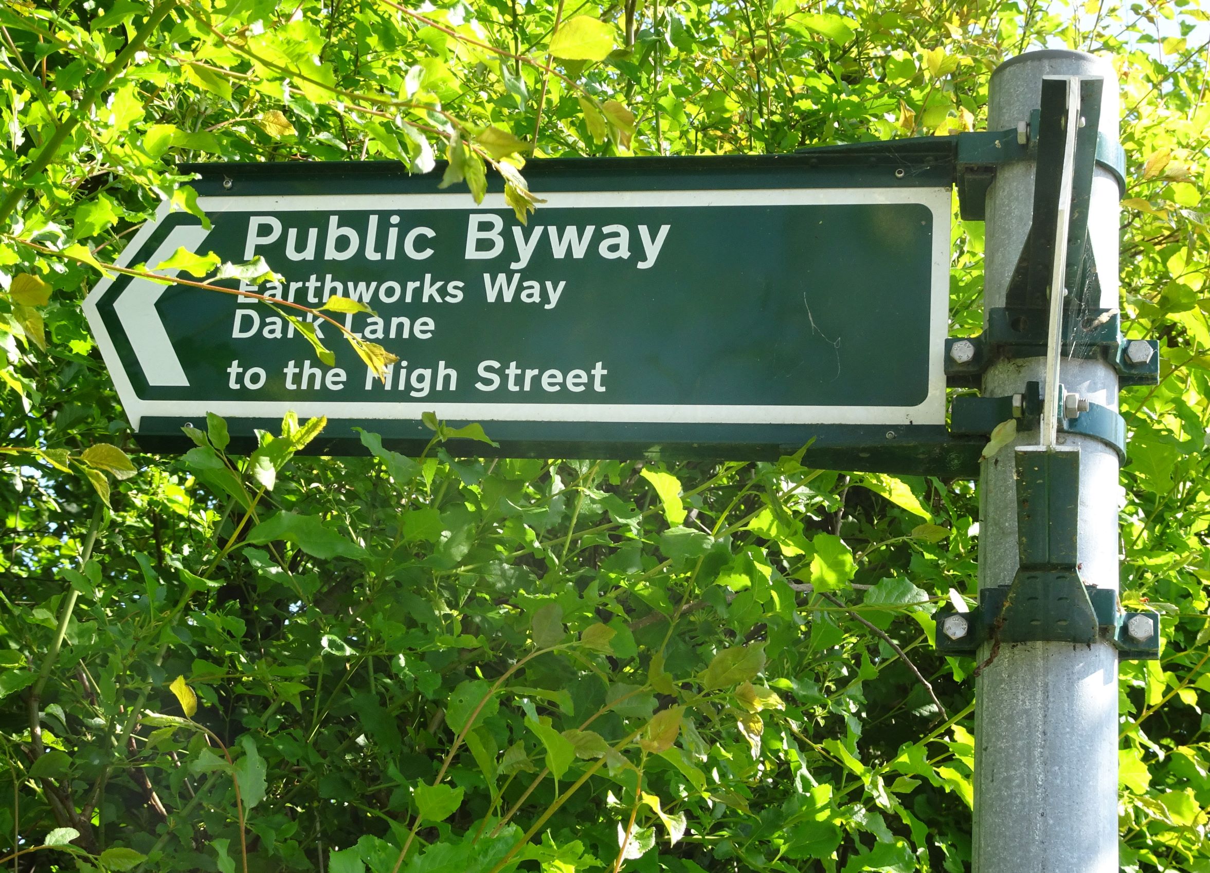 Cuckoo-pints or Lords-and-Ladies – Nature to look out for in Burwell