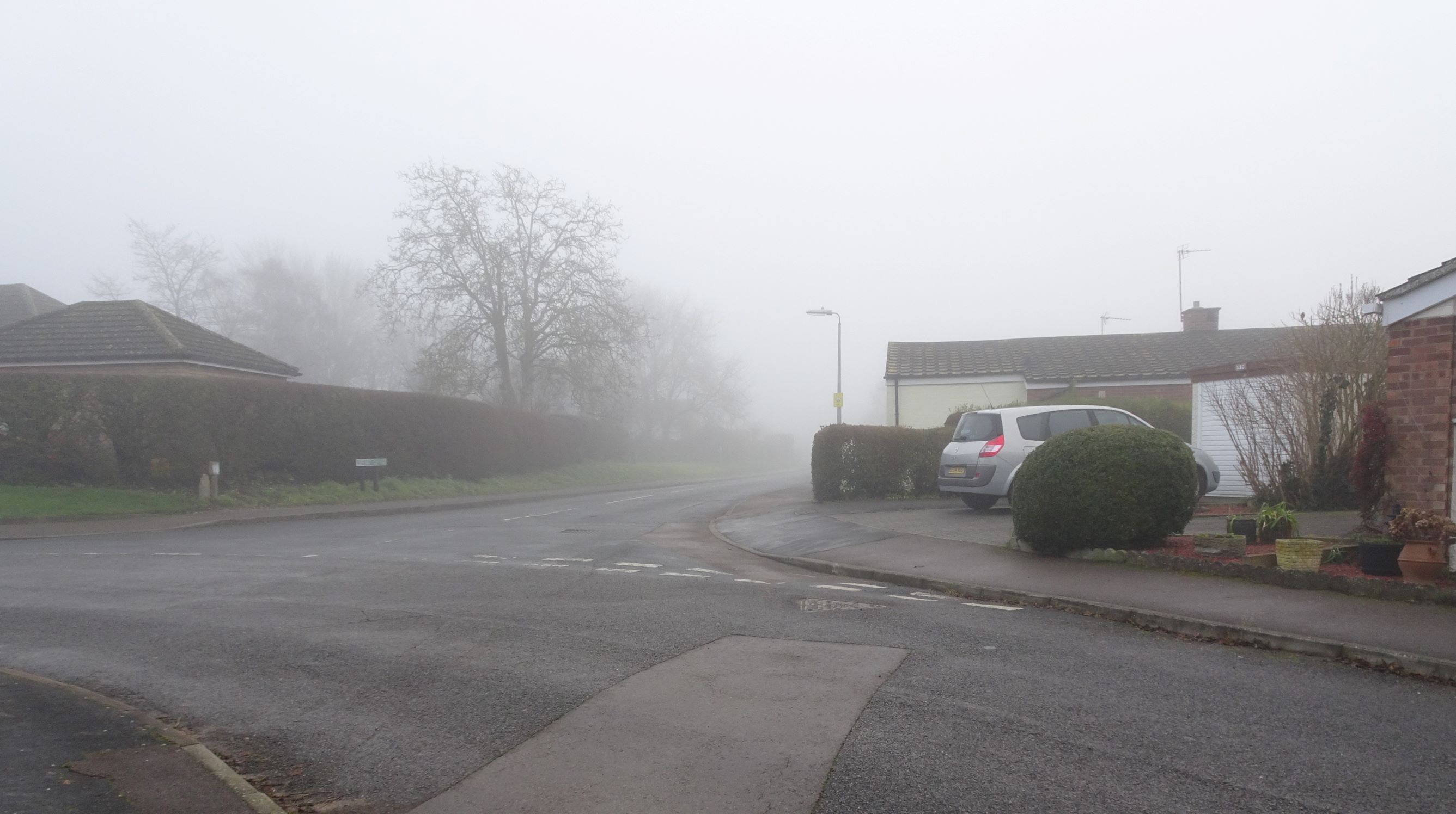 Robin song lights up dusk – Nature to look out for in Burwell